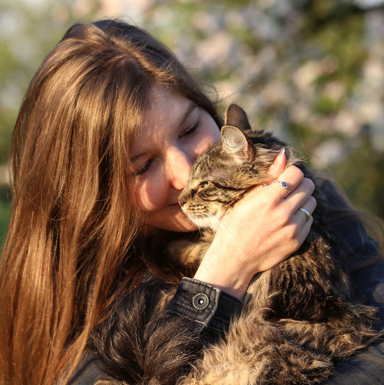 Portrait Cat Young Woman - Free photo on Pixabay - Pixabay