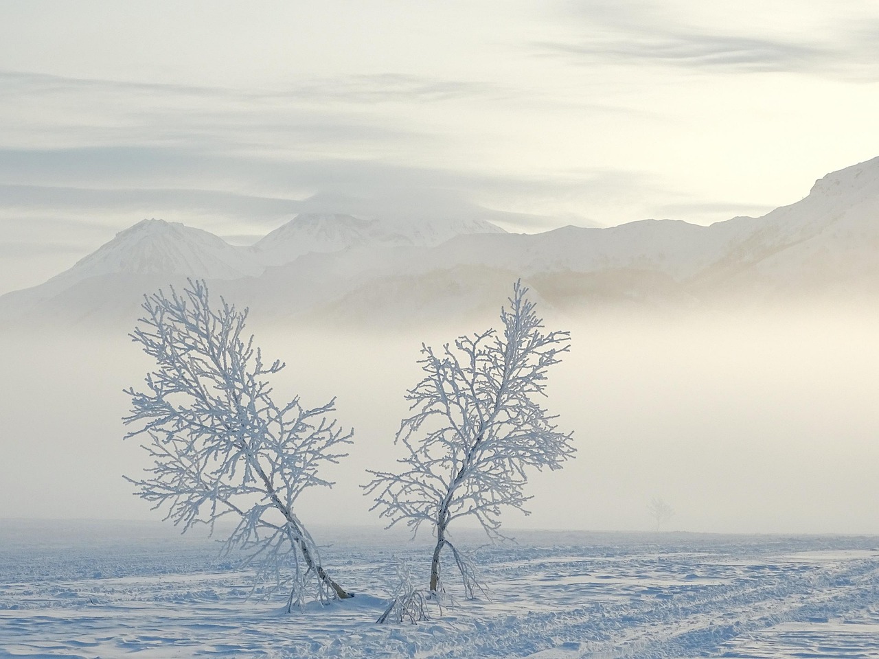 Sunrise Dawn Morning - Free photo on Pixabay - Pixabay