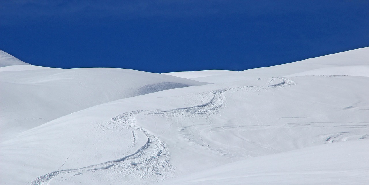 Snowboard Snow Winter - Free photo on Pixabay