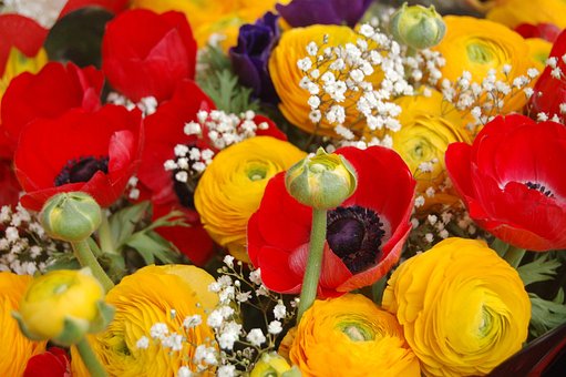 10+ Free Hd Fleurs & Hd Wallpaper Images - Pixabay