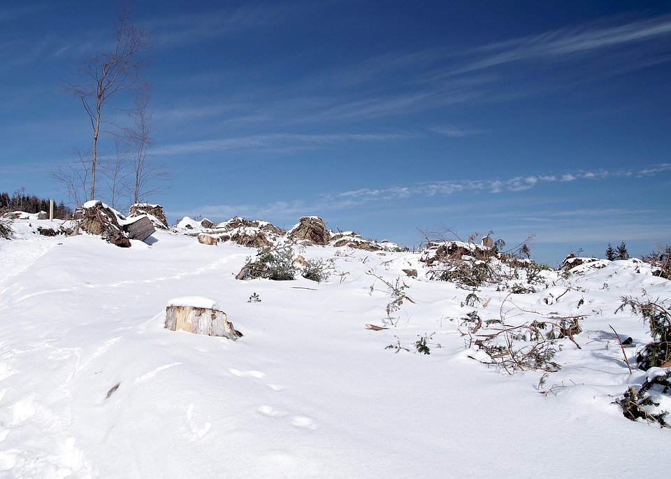Neige Hiver Froid - Photo gratuite sur Pixabay