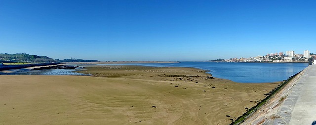 Portugal Porto Delta - Foto gratuita no Pixabay - Pixabay
