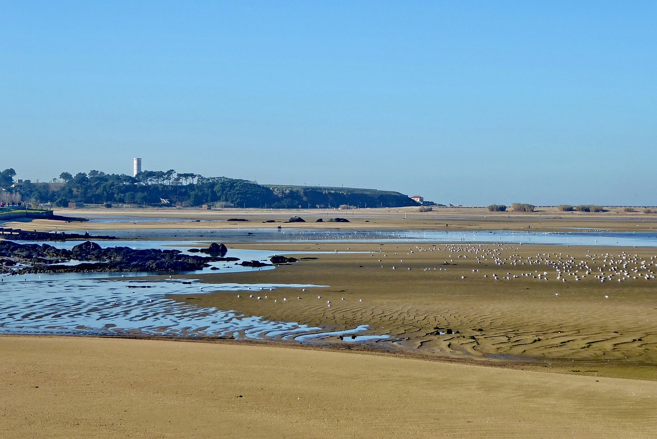 Portugal Porto Delta - Foto gratis en Pixabay - Pixabay