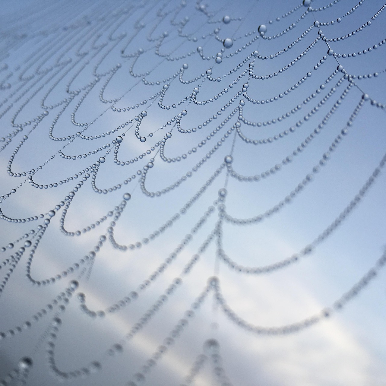 30,000+ Free Structural Complexity & Complexity Images - Pixabay