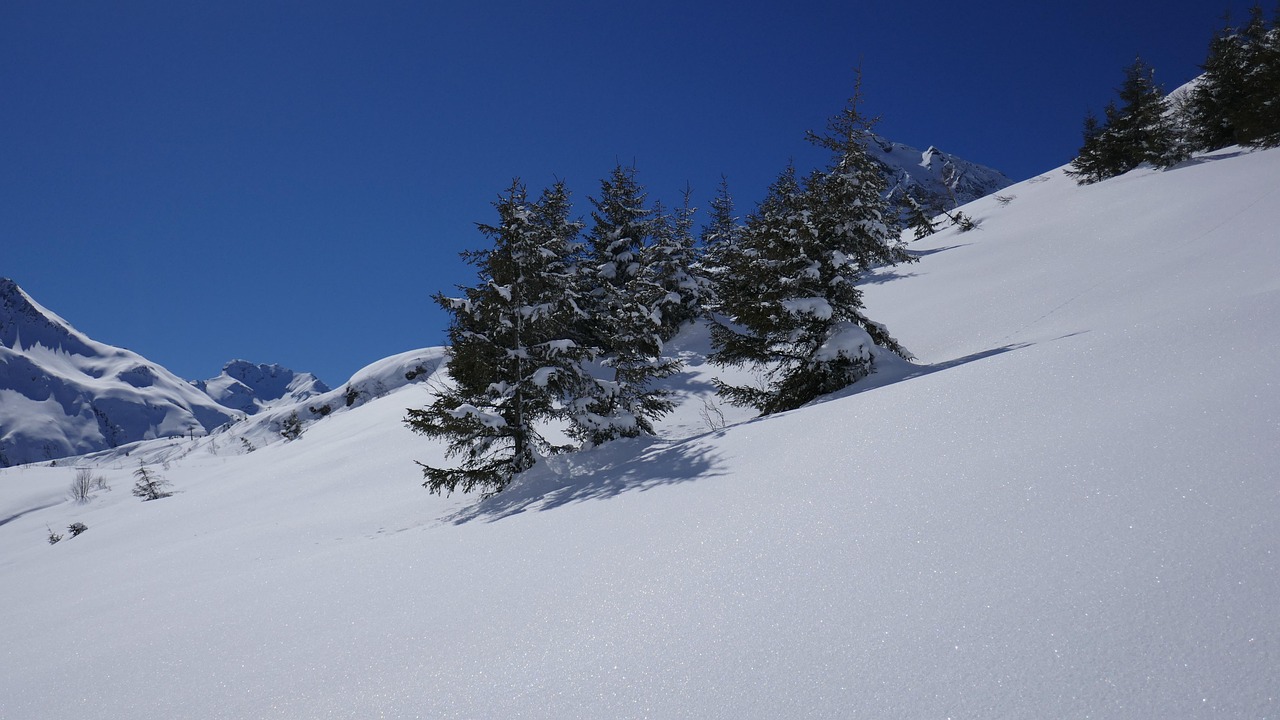 Neve Inverno Frio - Foto gratuita no Pixabay - Pixabay