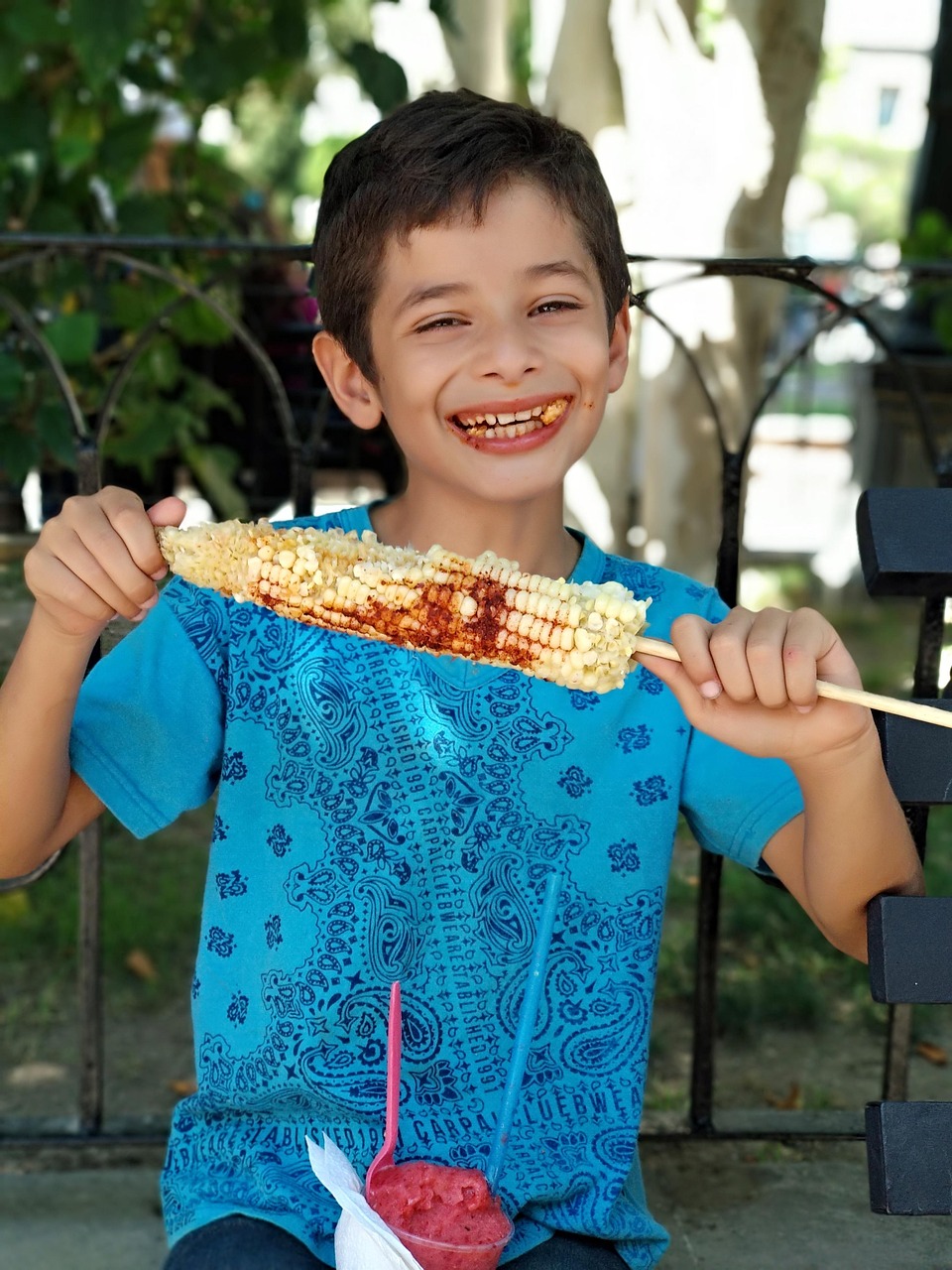 Más de 50 imágenes gratis de Elote y Maíz - Pixabay