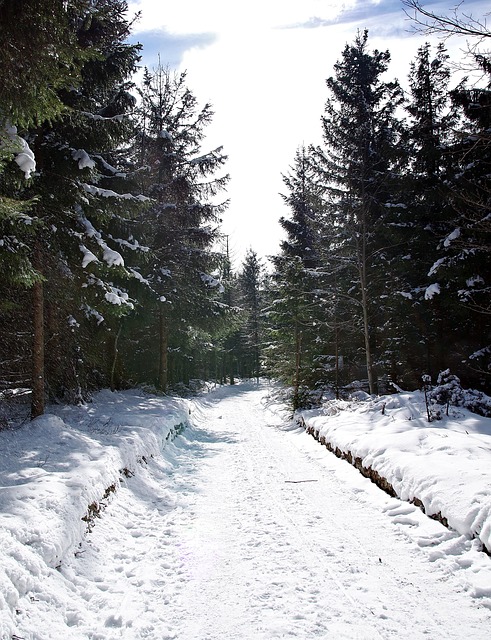 Way The Path Snow - Free photo on Pixabay
