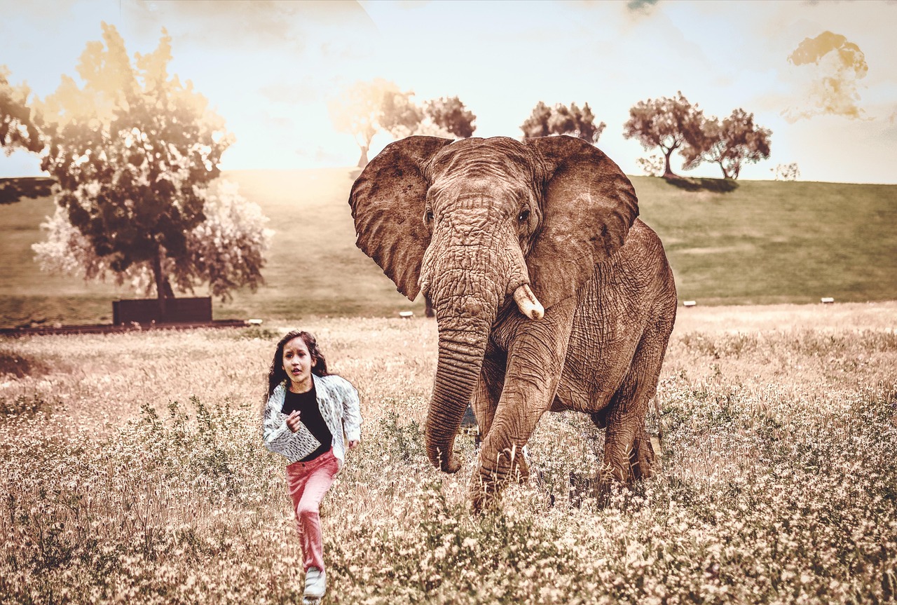 Elephant Scare Nature - Free photo on Pixabay