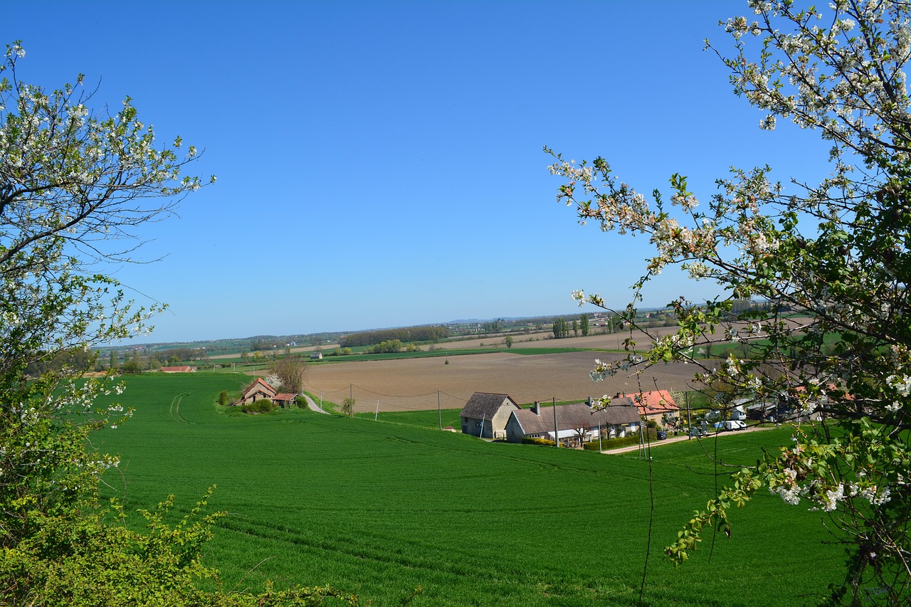 Konseptkunstlandskap
