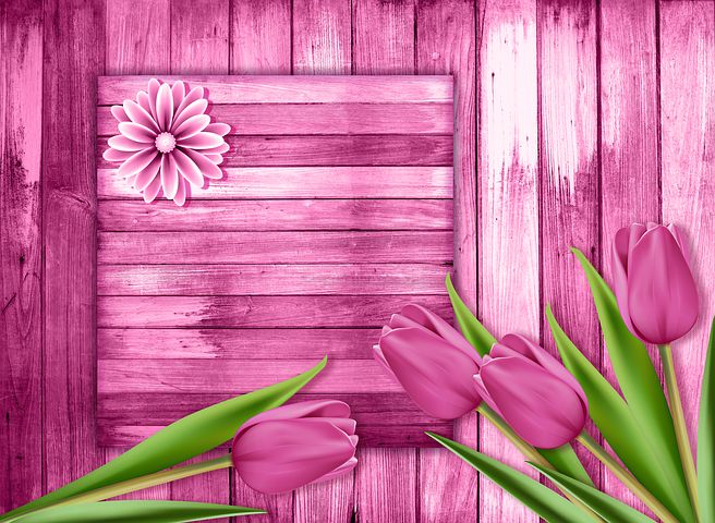 100+ Free Dedication & Dedicated Images - Pixabay
