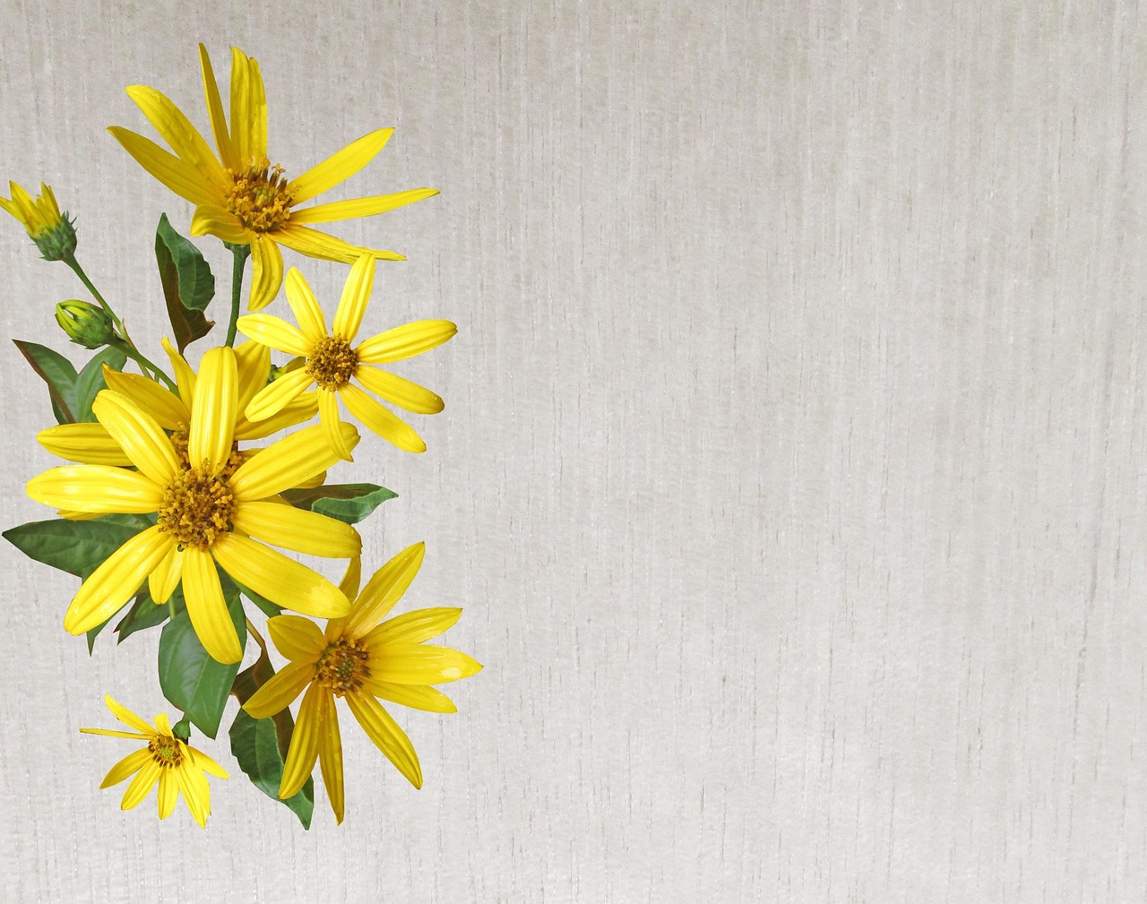 Kartu Ucapan Bunga Kuning - Foto gratis di Pixabay - Pixabay
