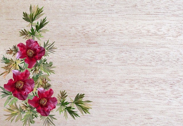 Kartu Ucapan Bunga Merah - Gambar gratis di Pixabay - Pixabay