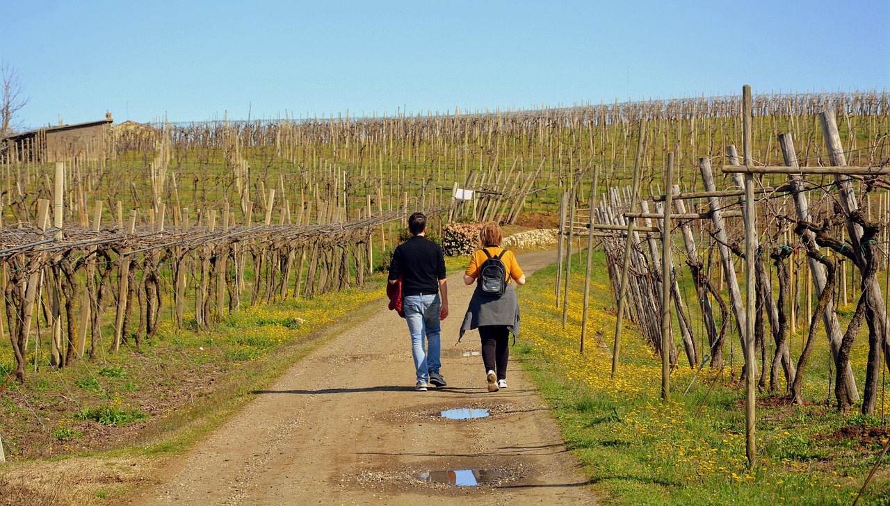 Marcher Promenade Excursion - Photo gratuite sur Pixabay - Pixabay