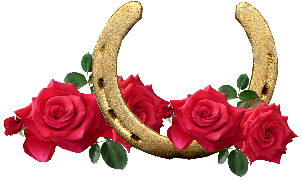 90+ Free Horse Shoes & Horseshoe Images - Pixabay