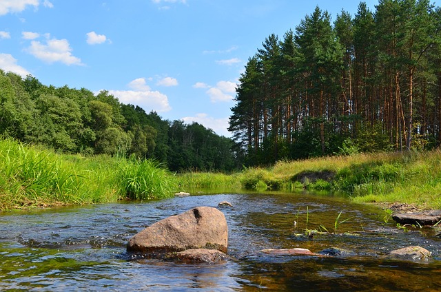 L'Eau Nature Rivière Activités De · Photo gratuite sur Pixabay