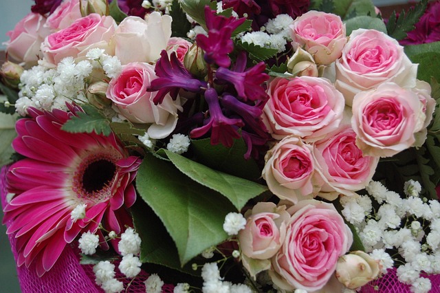 Más de 100 imágenes gratis de Fleurs Campagne y Flor - Pixabay