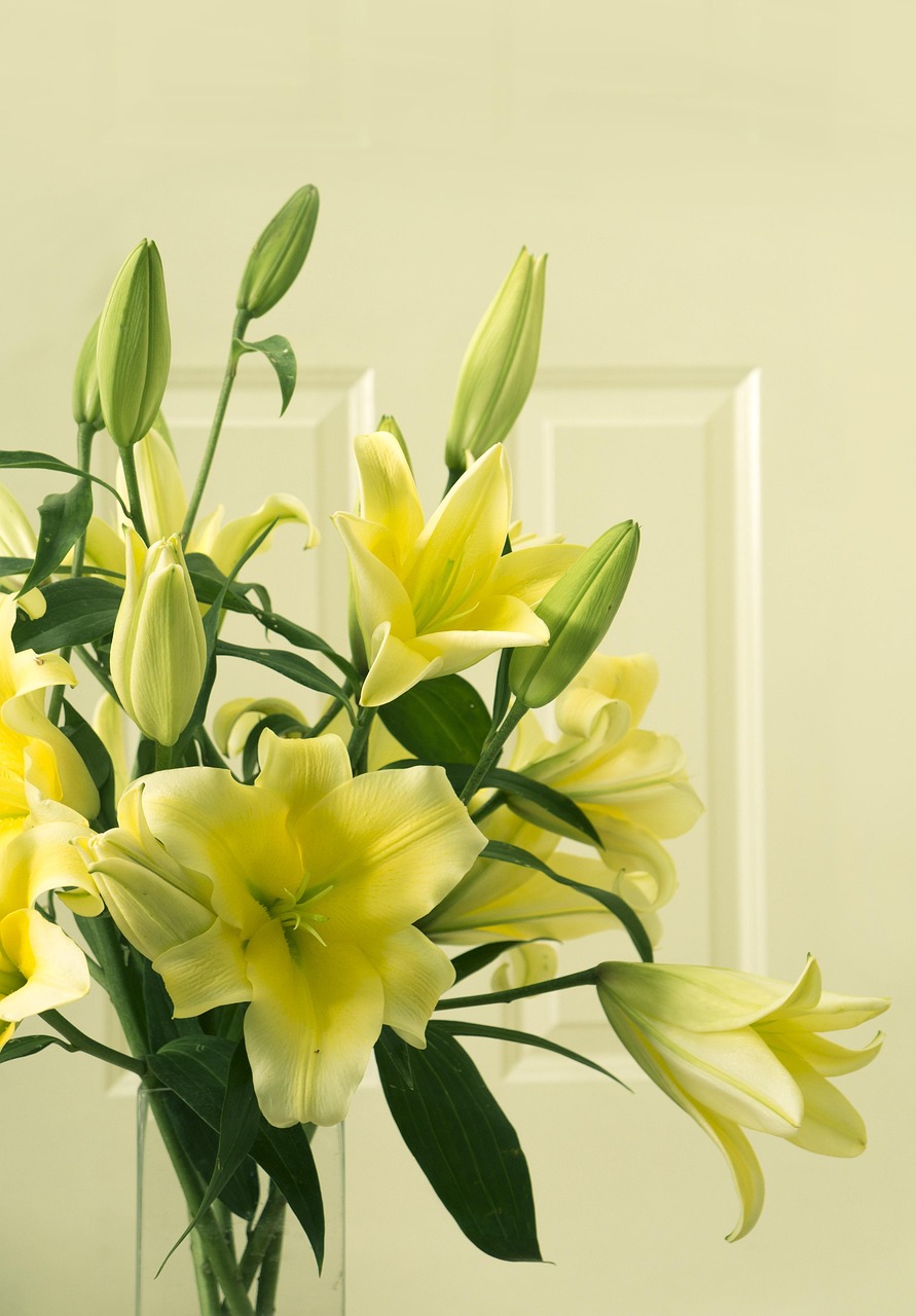 United Glass Flower Yellow - Free photo on Pixabay - Pixabay