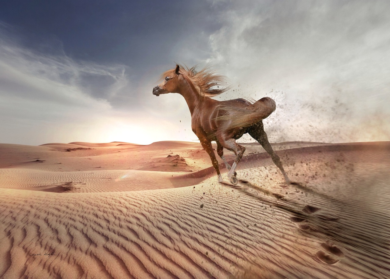 Desert Sand Sky - Free photo on Pixabay - Pixabay