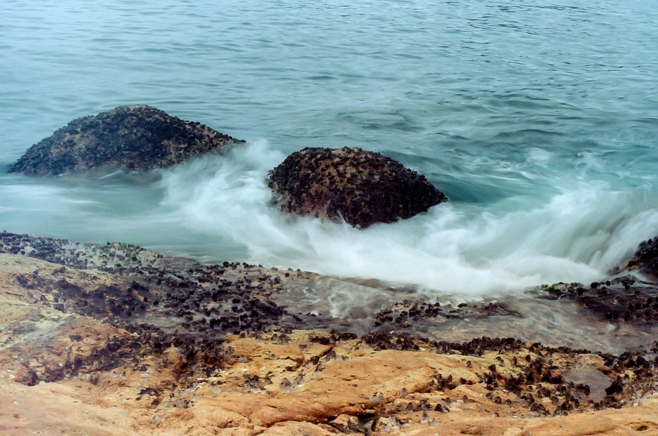 Les Eaux La Nature Mer - Photo gratuite sur Pixabay - Pixabay