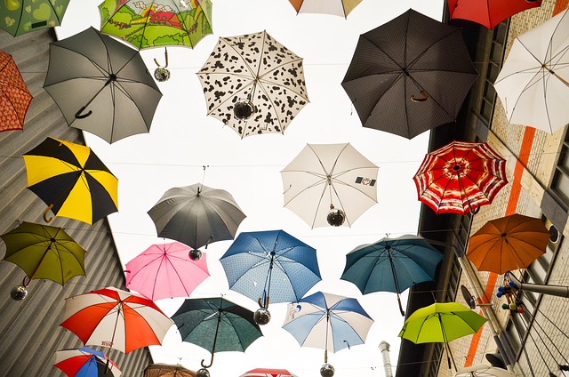 Umbrella Protection Screens Rainy - Free photo on Pixabay