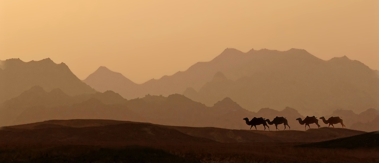 Dawn Desert Sunset - Free photo on Pixabay - Pixabay