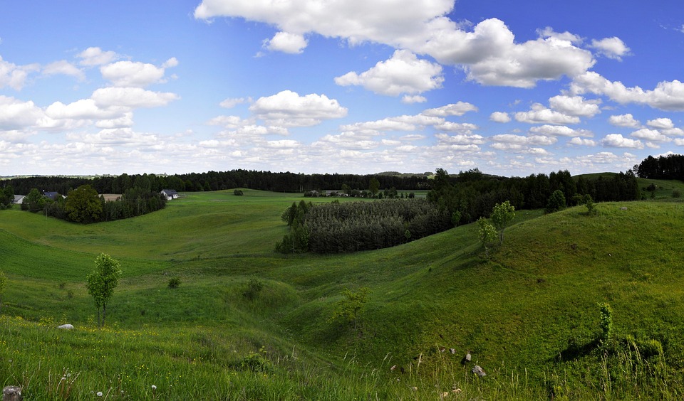 Lawn Nature Landscape - Free photo on Pixabay