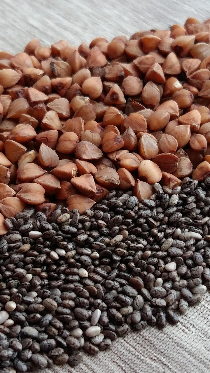 10,000+ Free Chia Seed & Chia Images - Pixabay