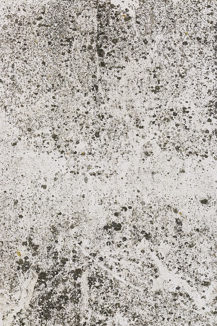 100+ Free Plastic Texture & Texture Images - Pixabay