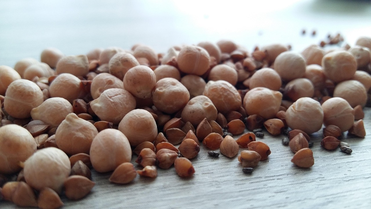 Food Garbanzo Beans Hrisca - Free photo on Pixabay - Pixabay