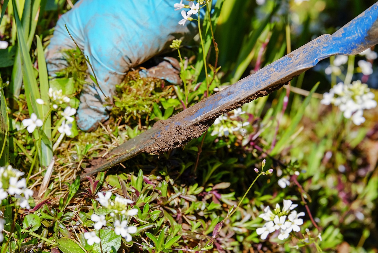 3,000+ Free Weeding & Weed Images - Pixabay