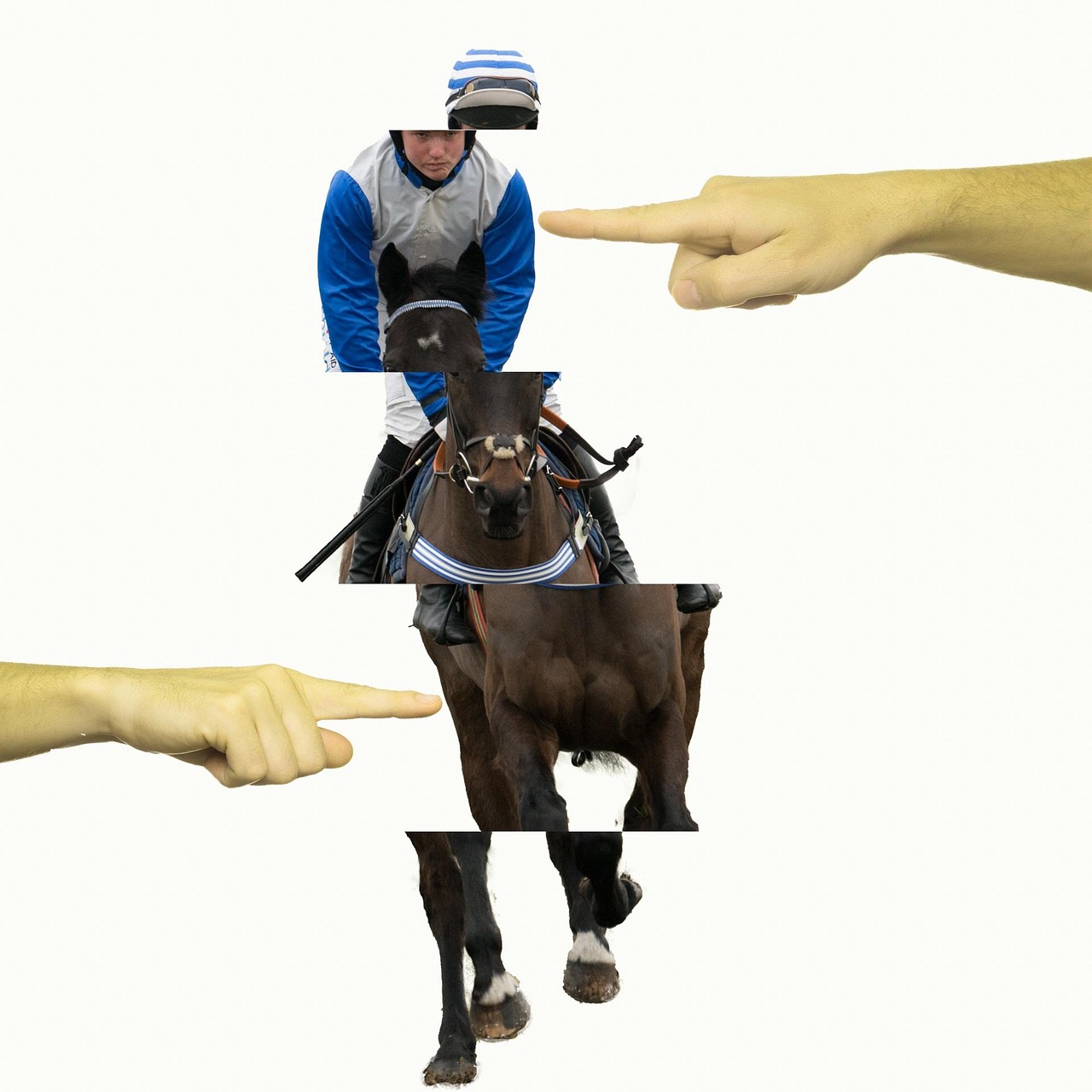 Horse Race Equestrian - Free photo on Pixabay - Pixabay