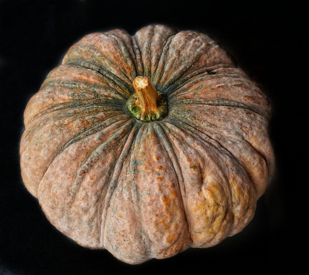 10+ Free Large Pumpkin & Pumpkin Images - Pixabay