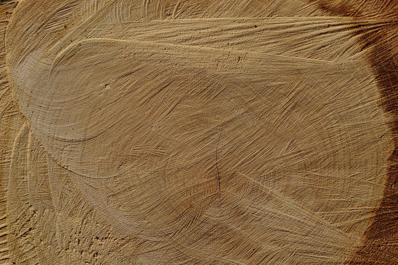 200+ kostenlose Holztexturen und Holztextur-Bilder - Pixabay