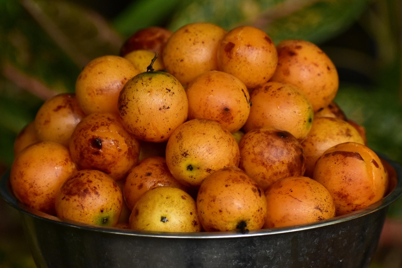 Sauer Tropische Frucht Gesund - Kostenloses Foto auf Pixabay - Pixabay
