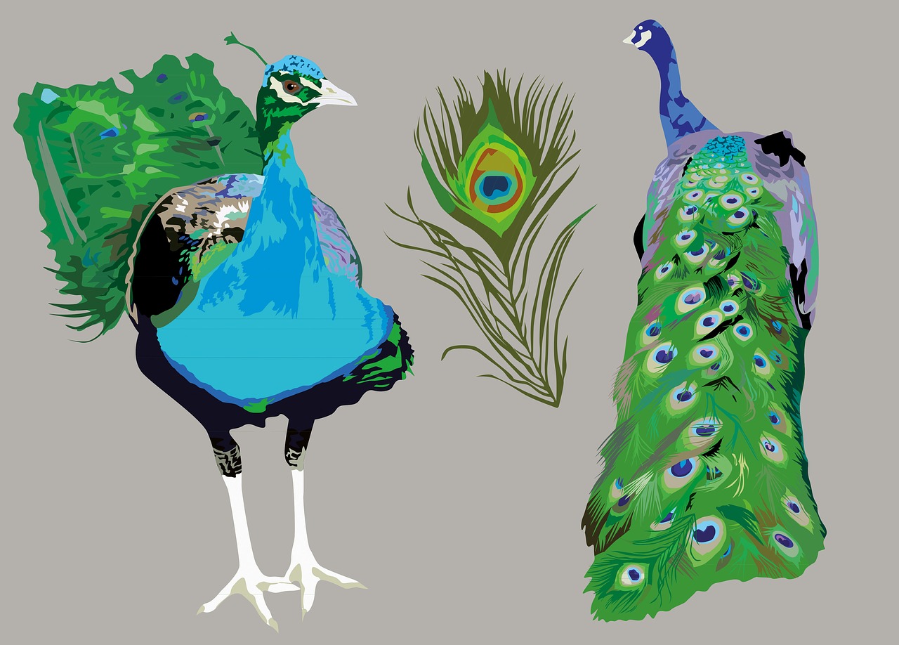 Animal Couleur Contexte - Image gratuite sur Pixabay - Pixabay