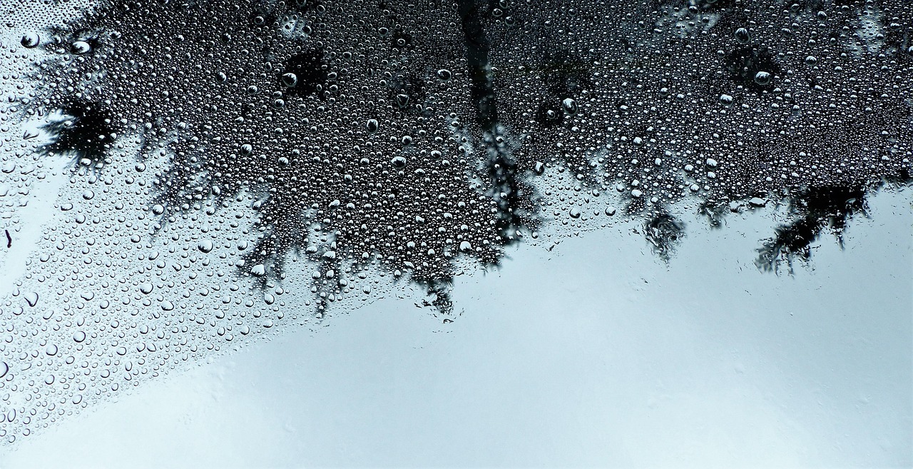 Ninguna Persona Primavera Lluvia - Foto gratis en Pixabay - Pixabay