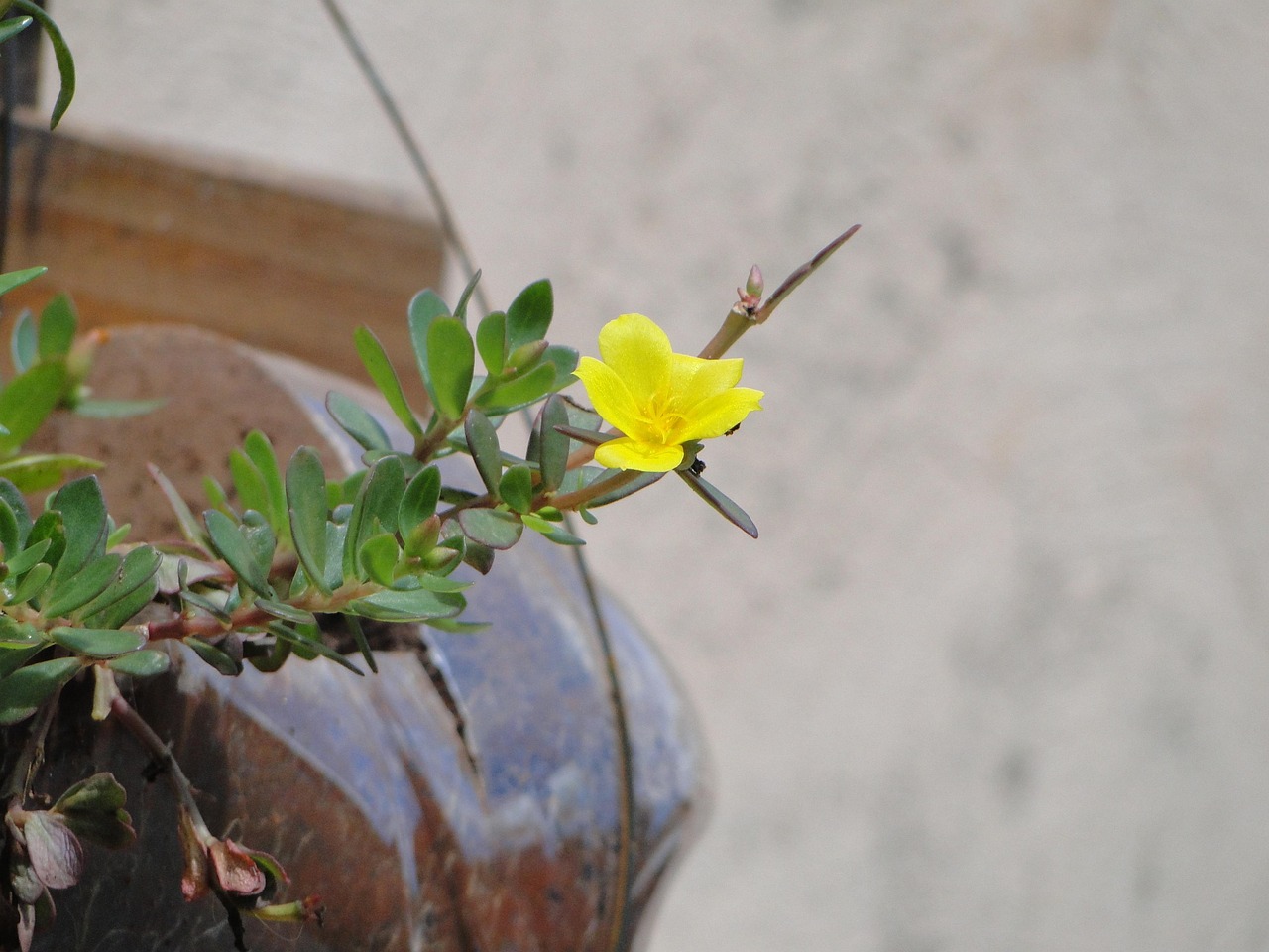 40+ Free Open Hours & Opening Hours Images - Pixabay