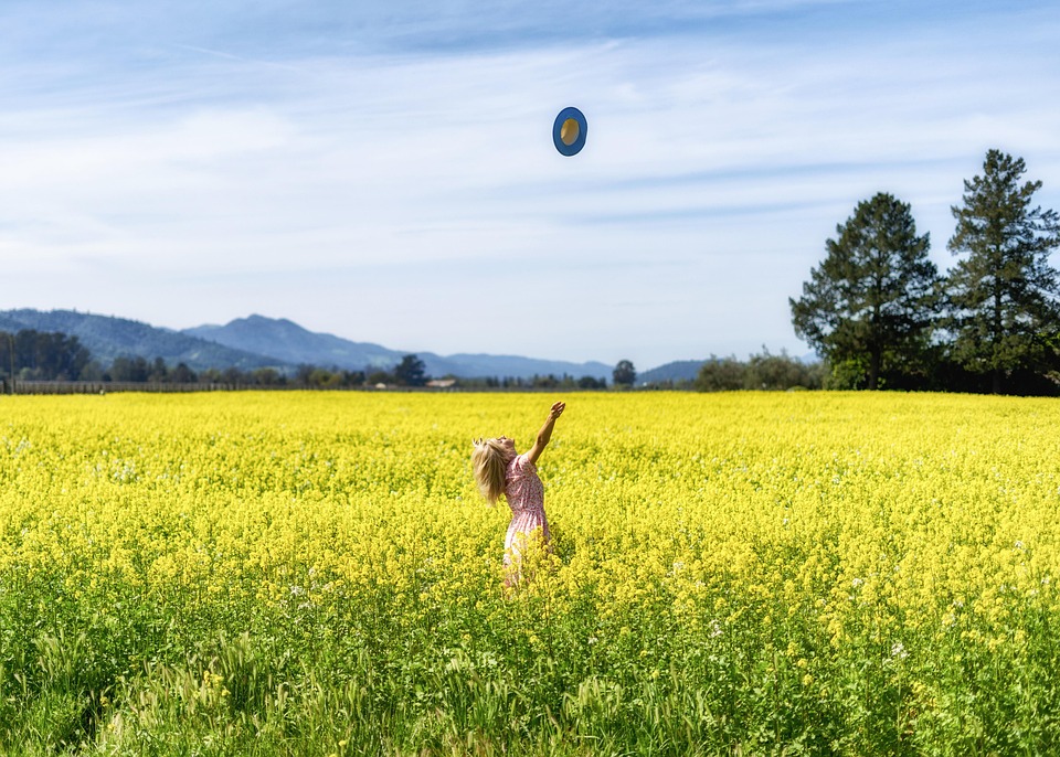 Field Nature Landscape - Free photo on Pixabay