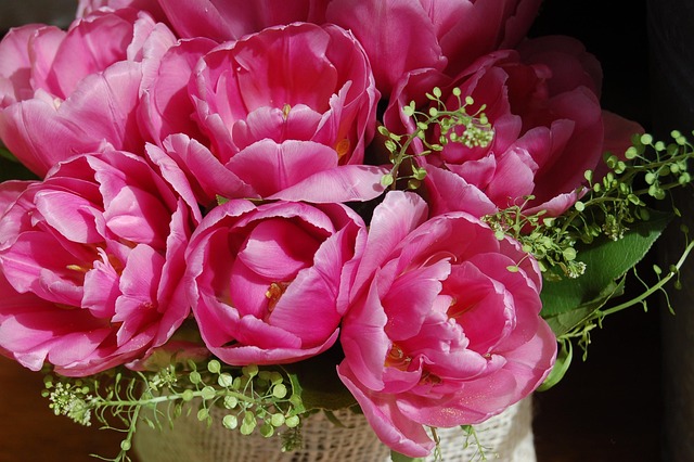 Flower Nature Floral - Free photo on Pixabay