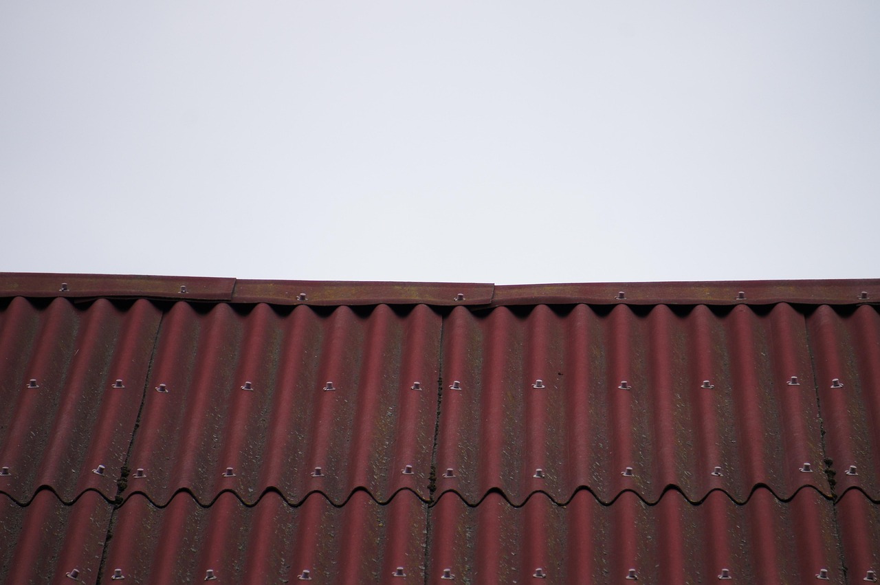 10,000+ Free Corrugated Roof Shack & Shack Images - Pixabay