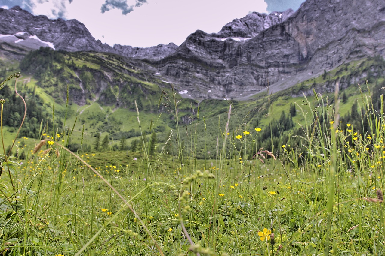 La Nature Paysage Montagne - Photo gratuite sur Pixabay - Pixabay