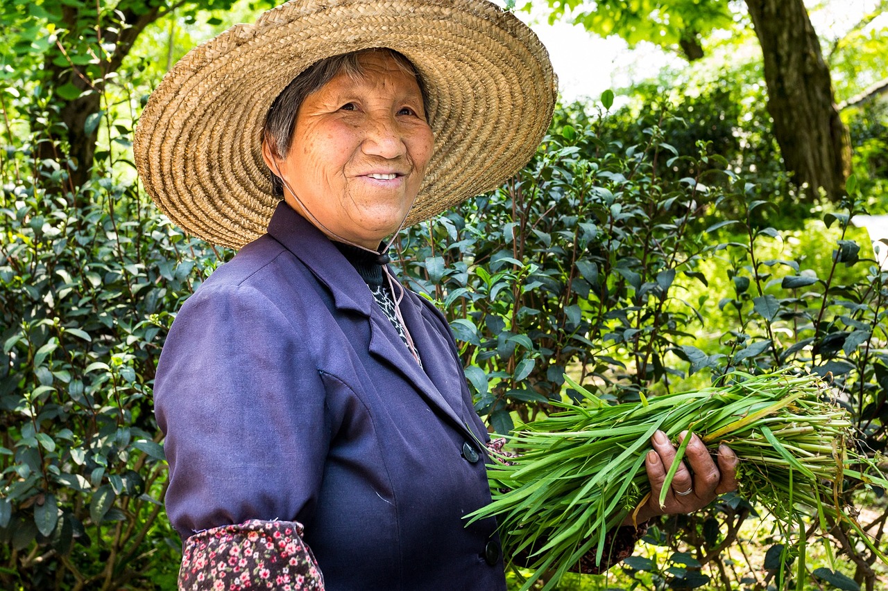 60,000+ Free Older People & People Images - Pixabay