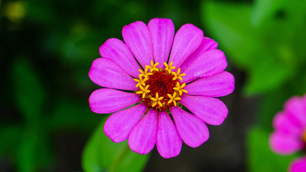 40,000+ Free No Colour & Nature Images - Pixabay