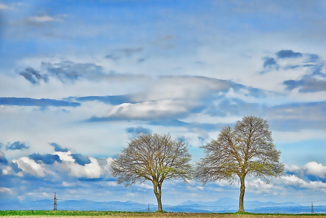 Nature Heaven Landscape - Free photo on Pixabay