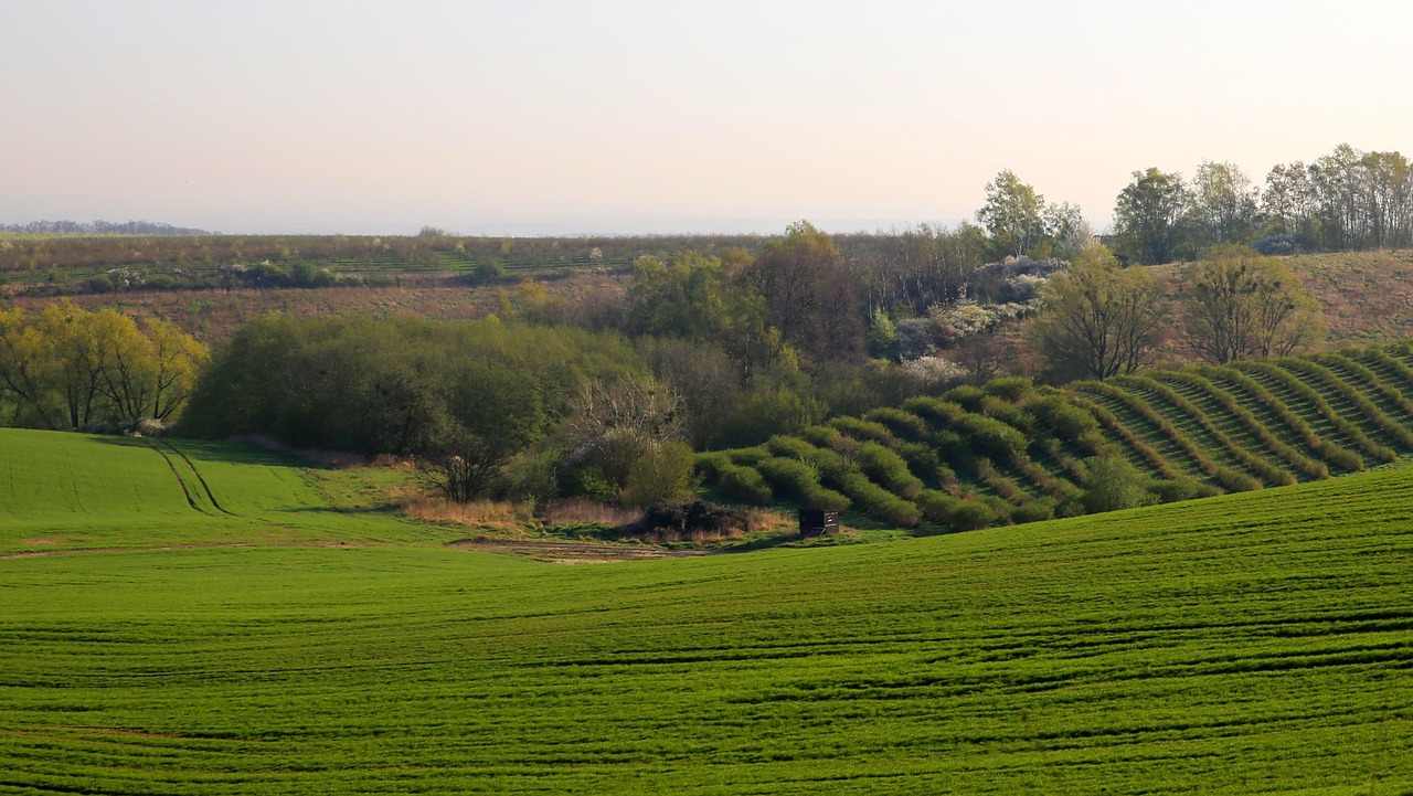 Mati Natur Landschaft - Kostenloses Foto auf Pixabay - Pixabay