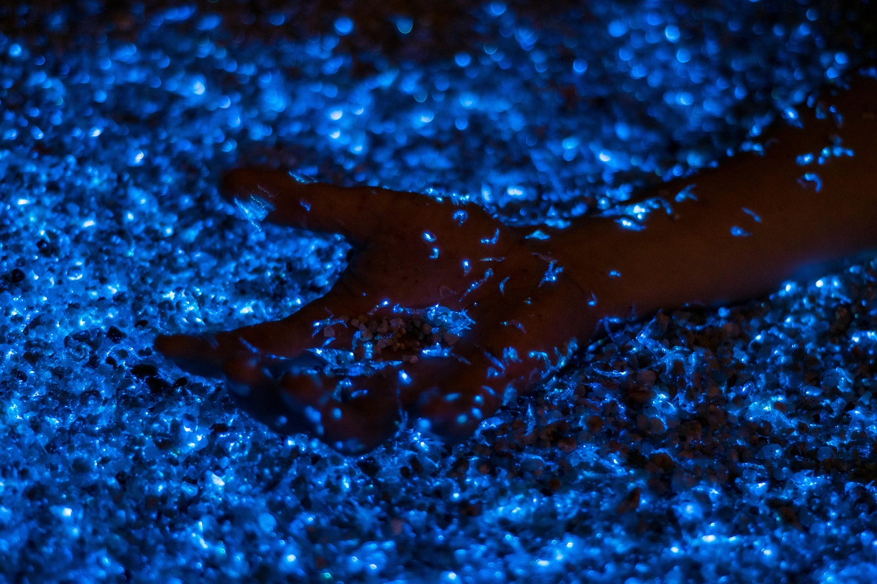 20+ Free Plankton & Sea Images - Pixabay