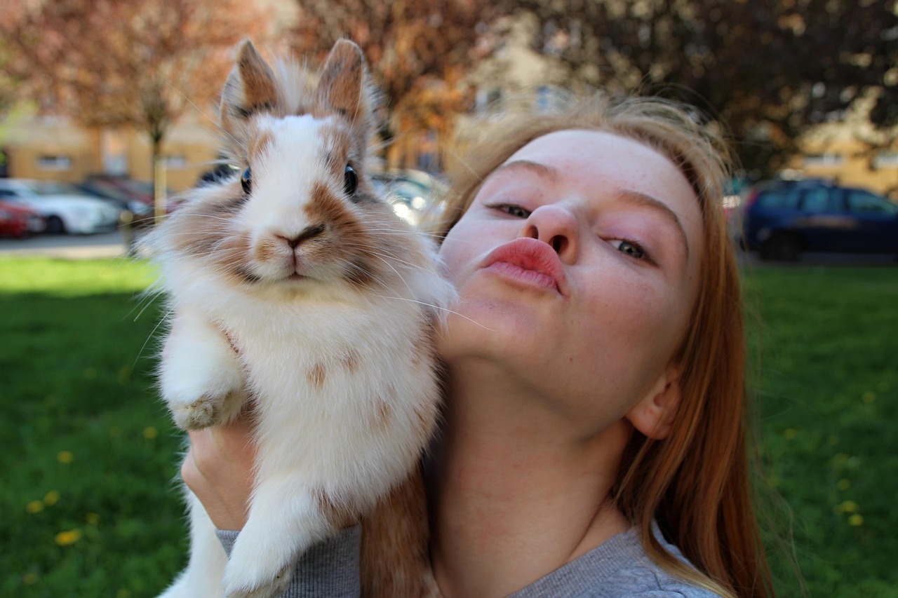 The Rabbit Lion'S Girl - Free photo on Pixabay - Pixabay