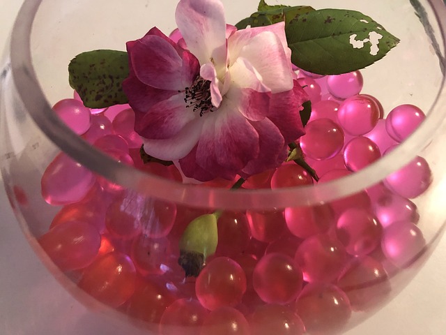 Flor Dulce Fruta - Foto gratis en Pixabay - Pixabay