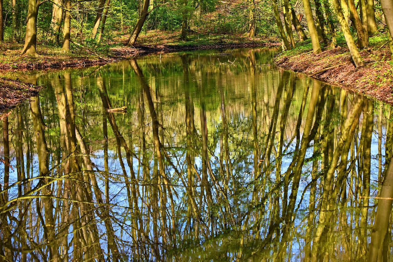 50.000+ kostenlose Reflection und Reflexion-Bilder - Pixabay