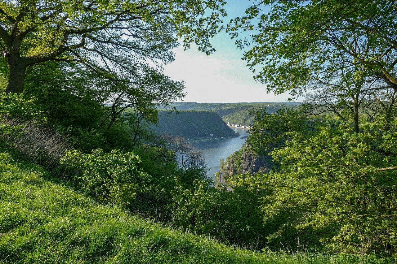 10,000+ Free Loreleyビュー Urbar & Top View Photos - Pixabay